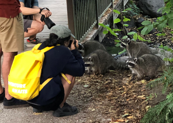 Wildlife Feeding - Stanley Park Ecology (SPE)