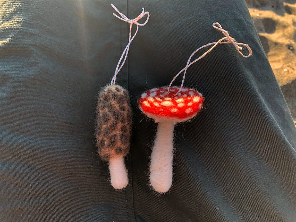 Fungi Felting Workshop (In-person) - Events - Stanley Park Ecology ...