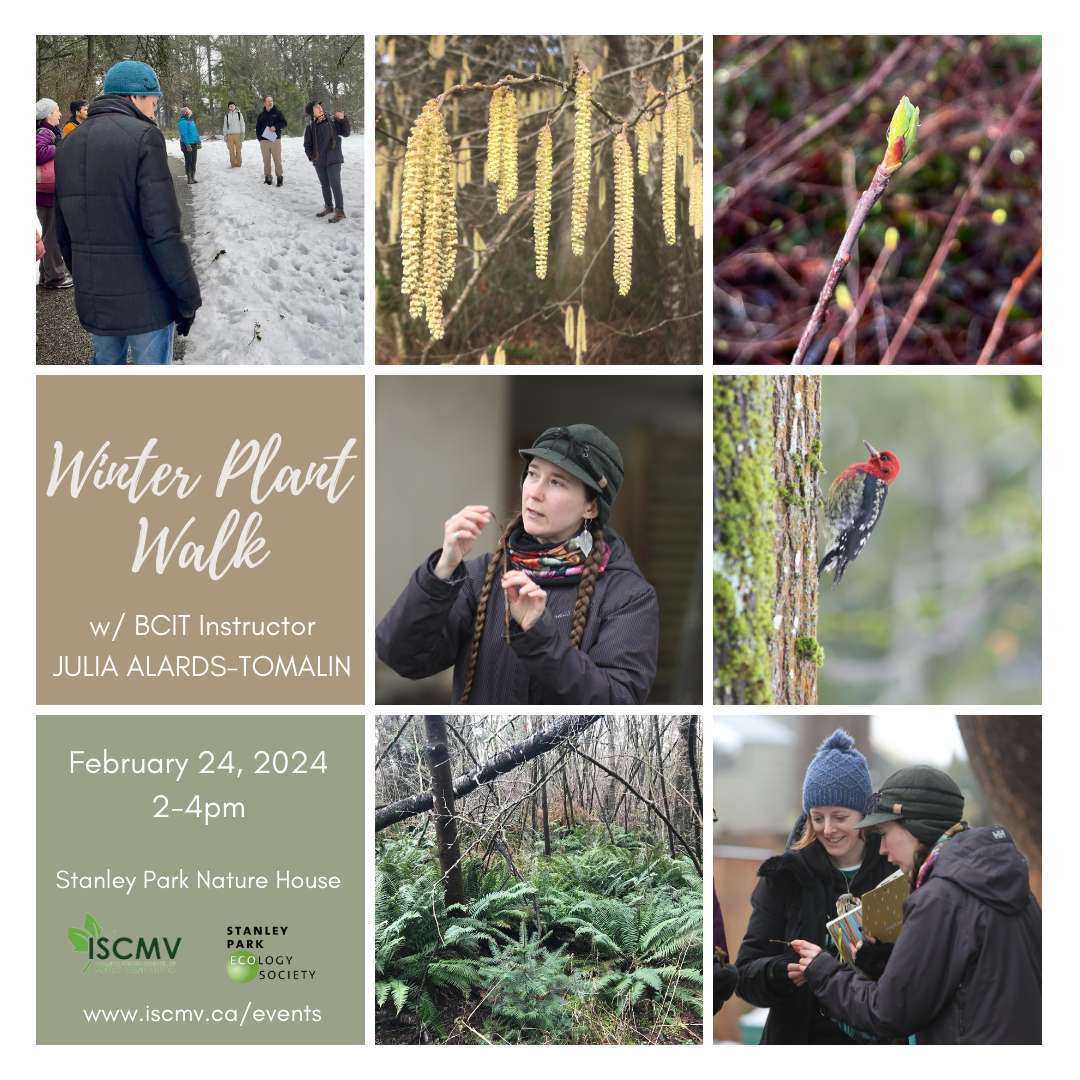Stewardship Series: Winter Plant Walk with Julia Alards-Tomalin ...