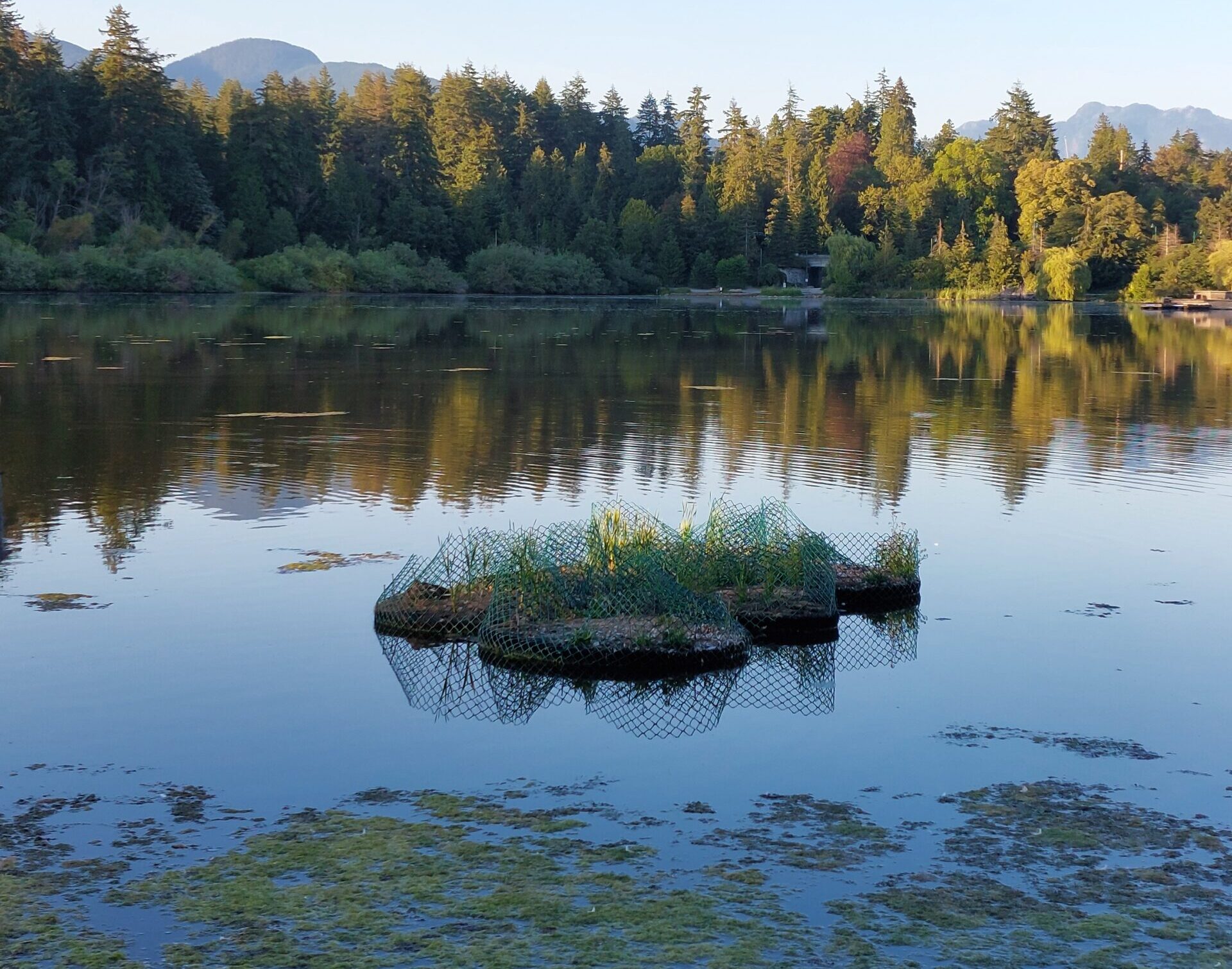 Lost Lagoon: Changes through Time - Events - Stanley Park Ecology (SPE)